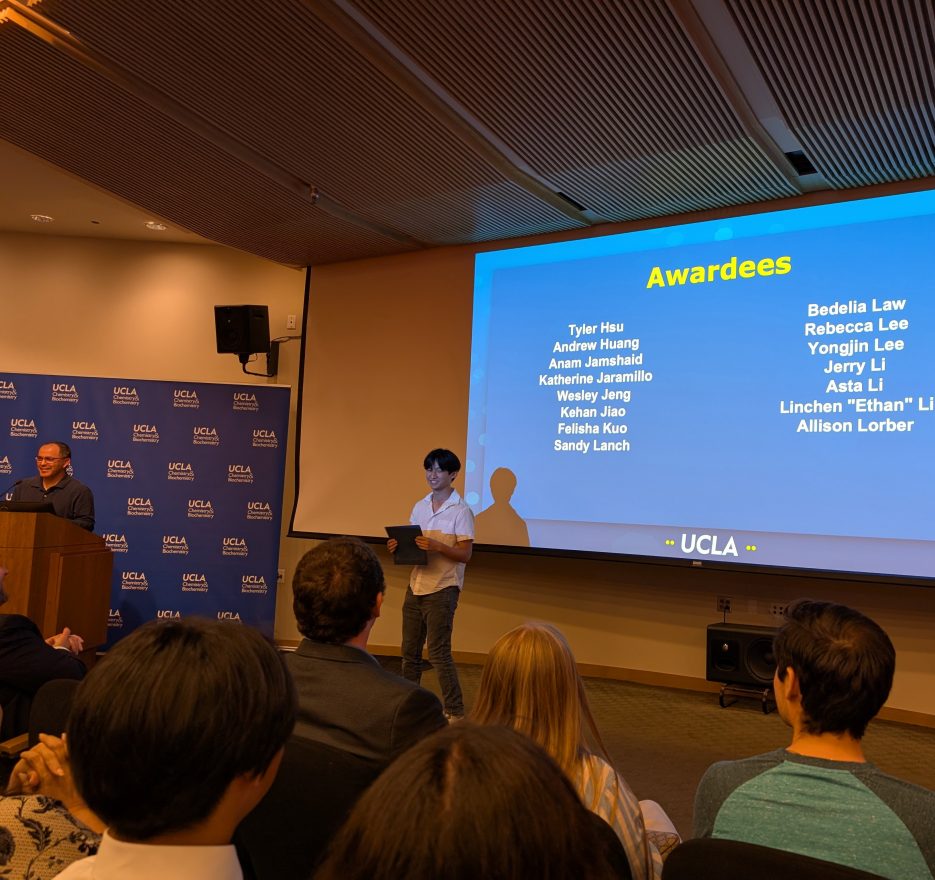 SURF undergraduate awards